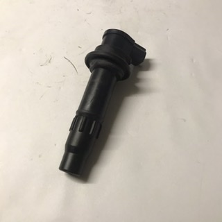 bobine crayon 250 kxf 2009 - FRED CASSE MOTO 38